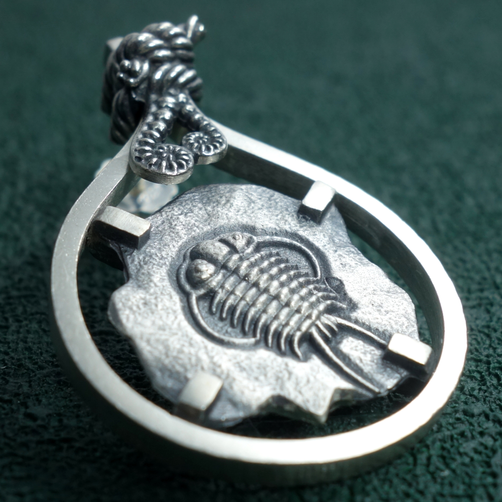 Boucles D oreilles Fossiles De Limule Et Trilobite Res Mirum Boucles D oreilles Fossiles De Limule Et Trilobite Res Mirum